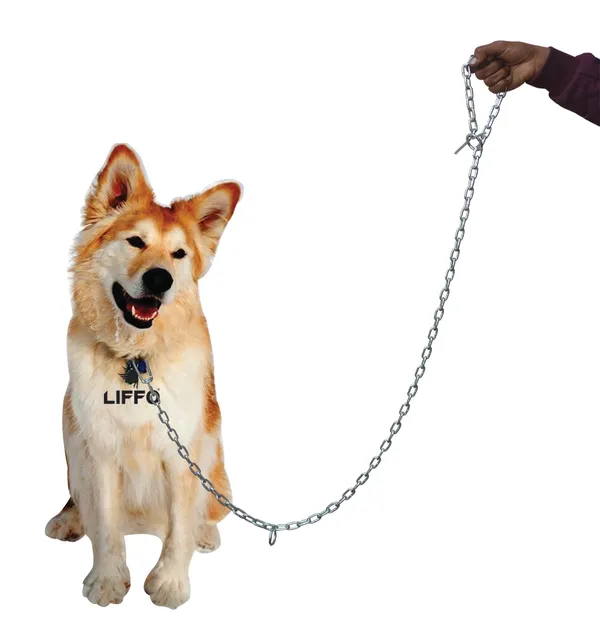 Dogs and chains for trucks store