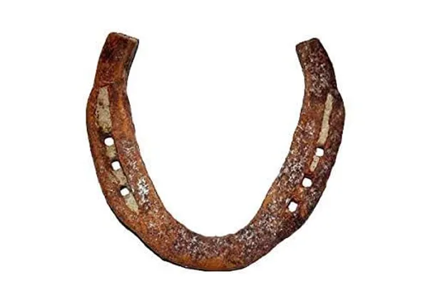 NAVYAKSH Asli Kaale Ghode Ki Naal/Horse Shoe/Remove Bad inf